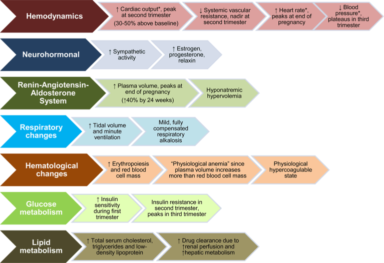 Cardiac Disease in Pregnancy: A leading cause of U.S. maternal death ...