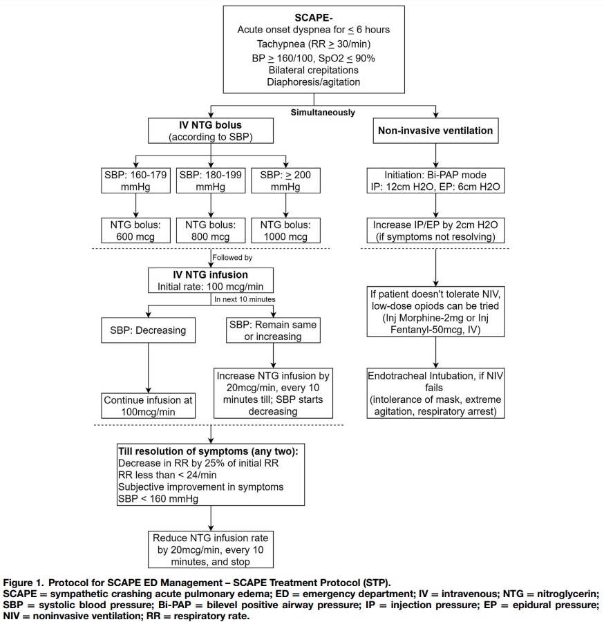 Pulmonary Edema in Pregnancy. – The Dark Neb: Tuohy Time