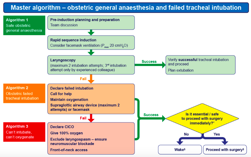 Difficult & Failed OB Airway. – The Dark Neb: Tuohy Time