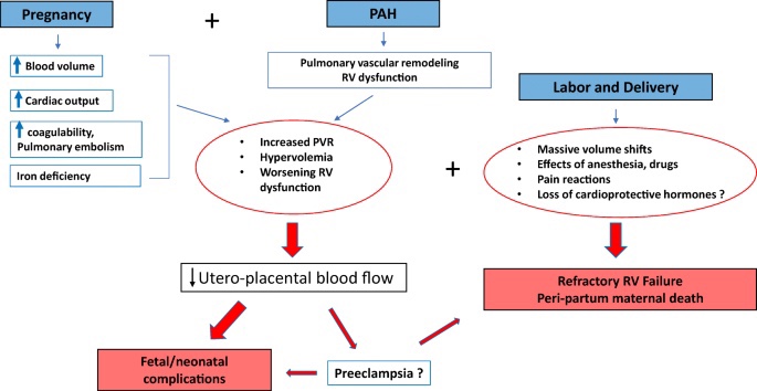 Pulmonary HTN in pregnancy. – The Dark Neb: Tuohy Time