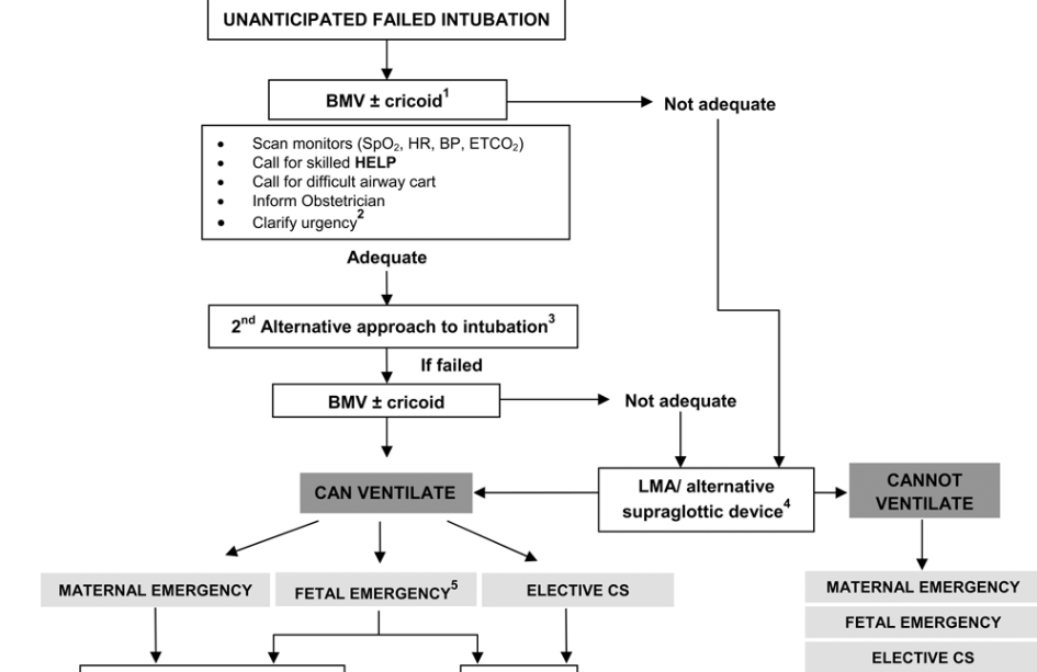 Difficult & Failed OB Airway. – The Dark Neb: Tuohy Time